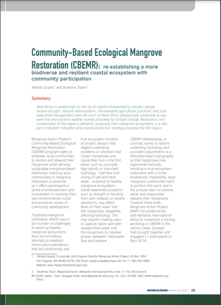 Restoration Archives - Mangrove Action Project