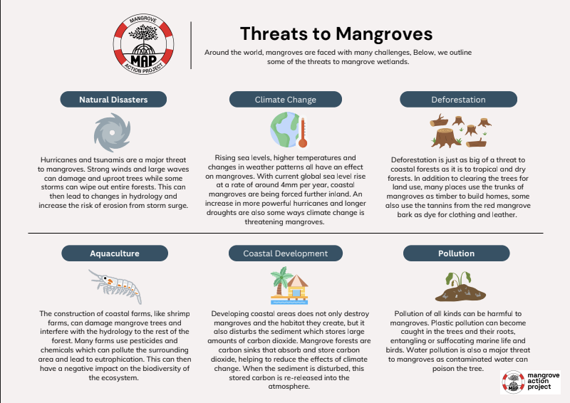 Threats to Mangroves - Mangrove Action Project