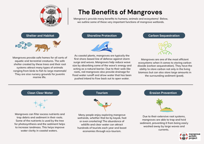 Benefits of Mangroves - Mangrove Action Project