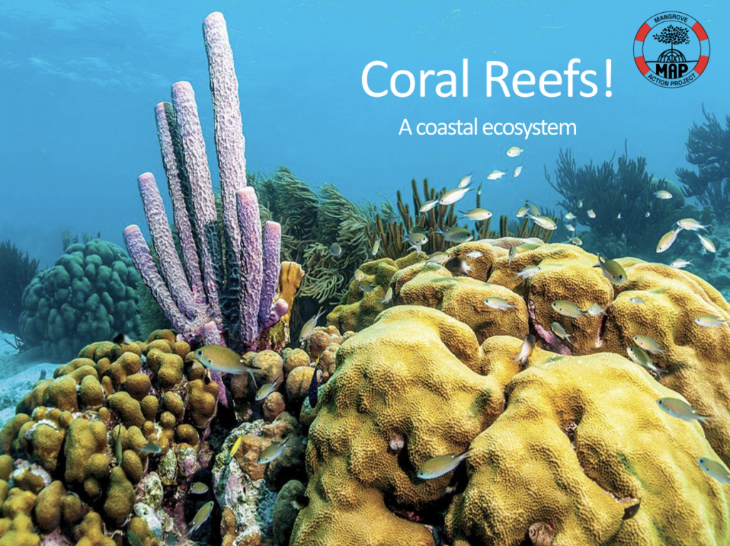 Cayman Coral Reef Presentation - Mangrove Action Project