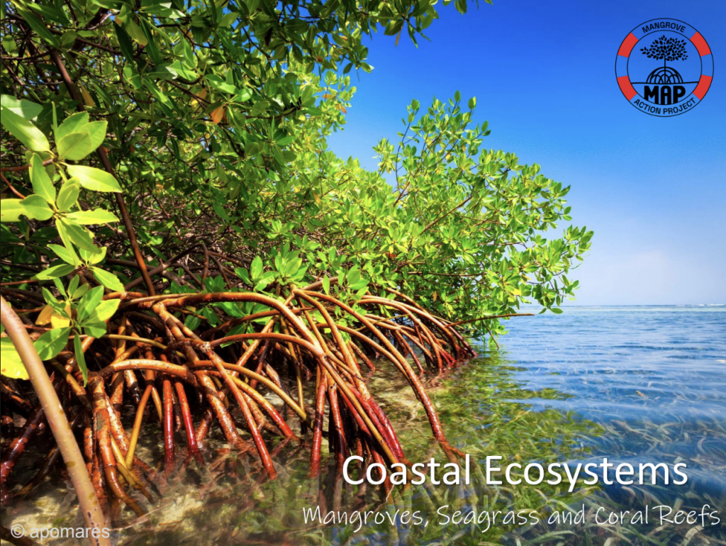 Cayman Costal Ecosystem Presentation - Mangrove Action Project