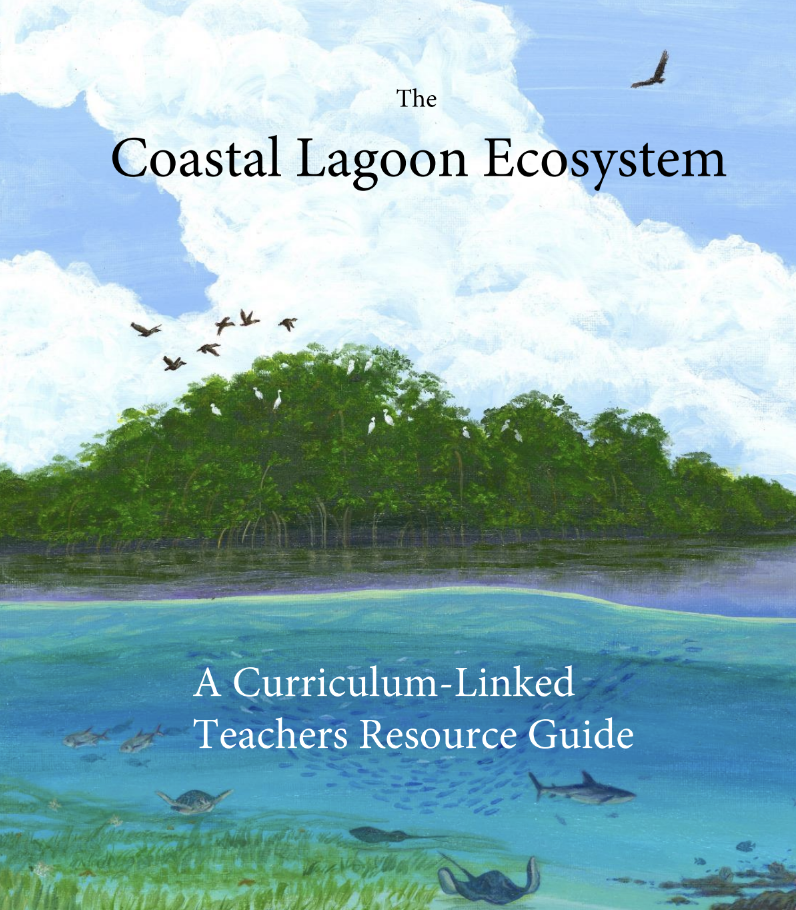 Coastal Education Guide - Mangrove Action Project