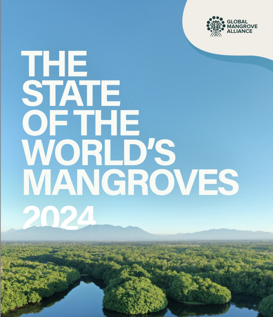 Restoration Archives - Mangrove Action Project