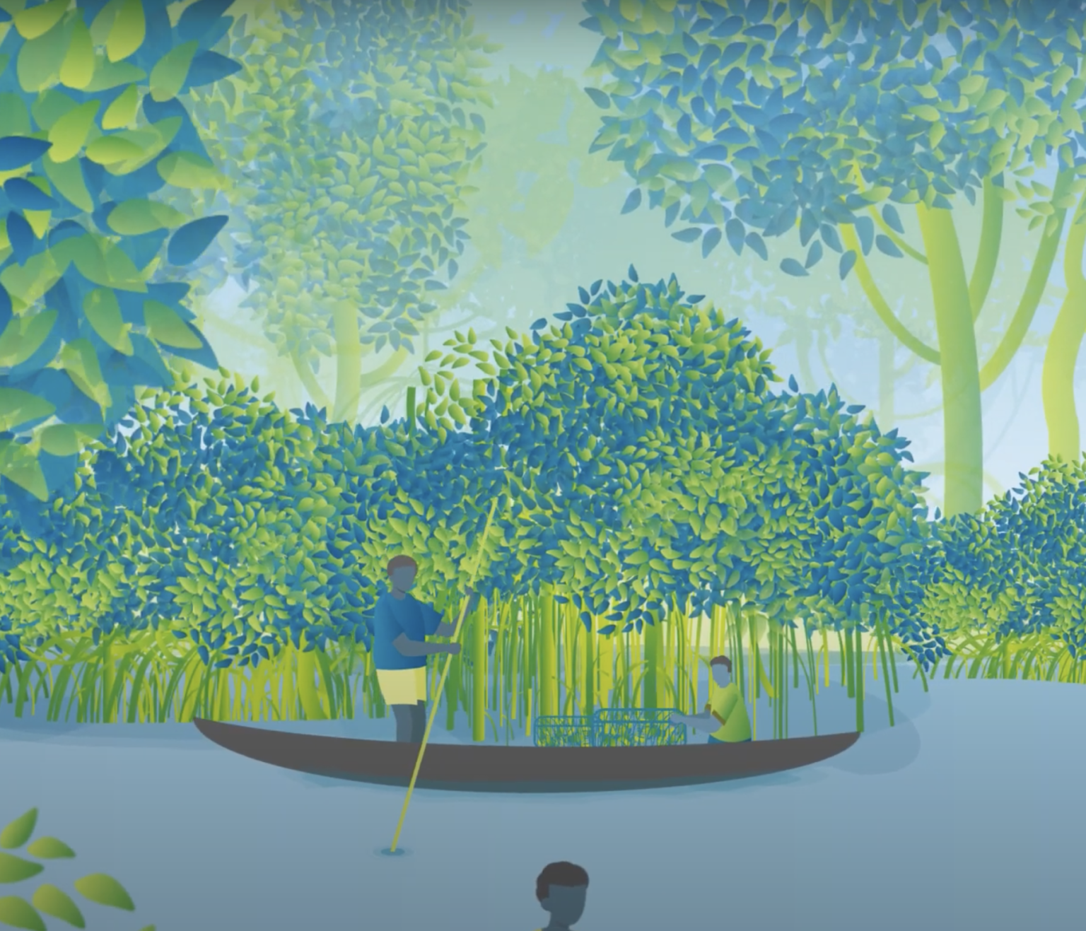 Restoration Resource Library - Mangrove Action Project