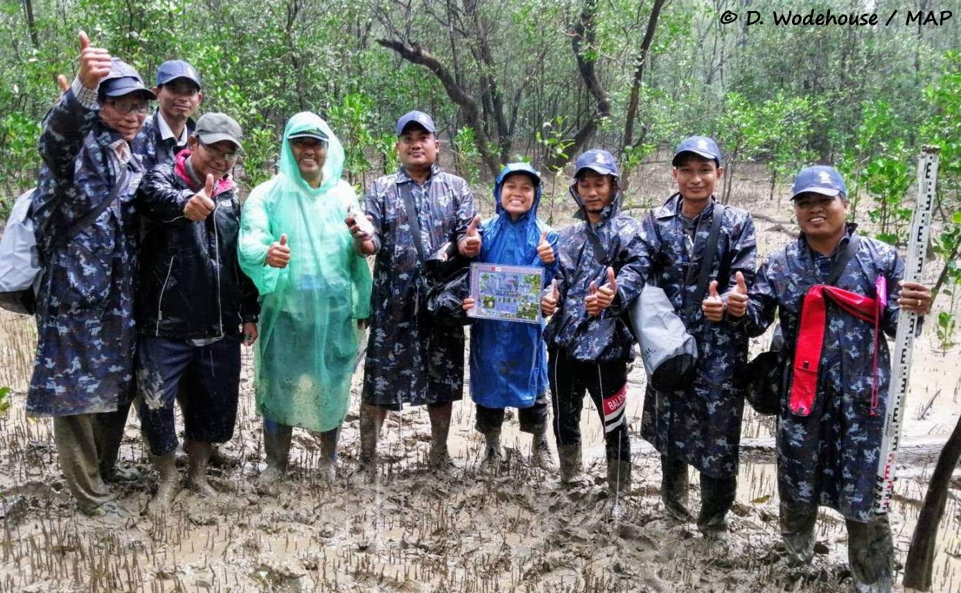 Facing Mangrove Degradation through CBEMR approach - Mangrove Action ...